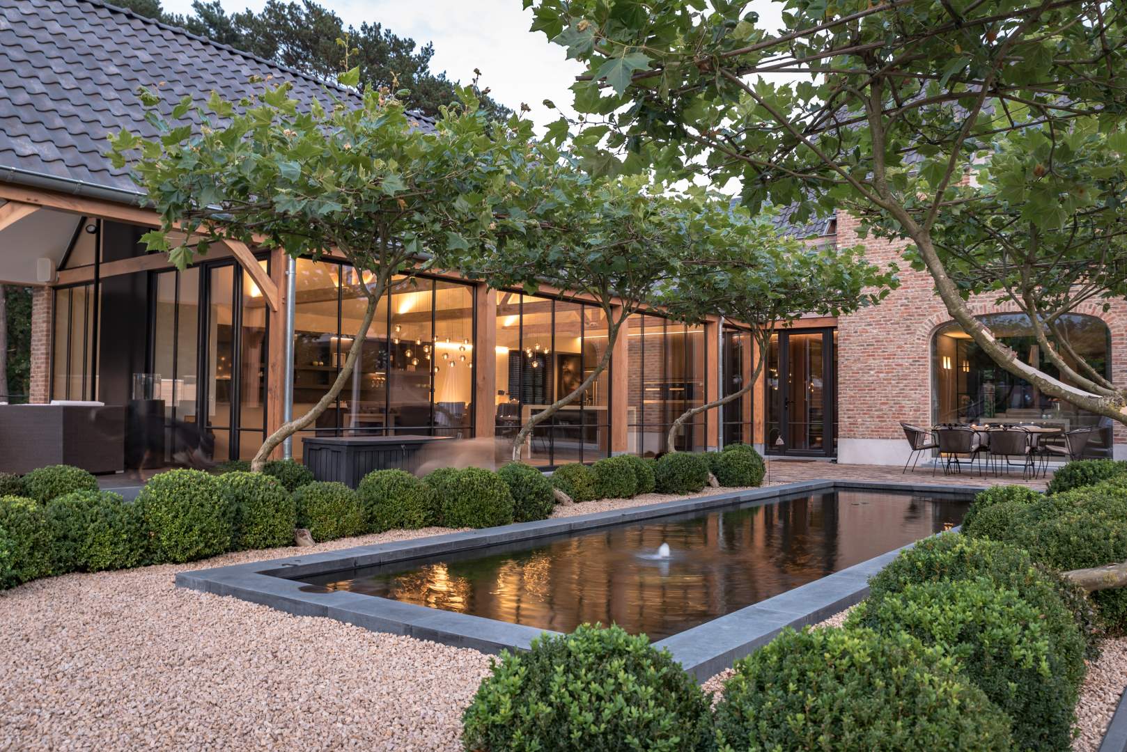 Platanus TREEVOLUTION ® THE SWING ® - Van den Berk Baumschulen